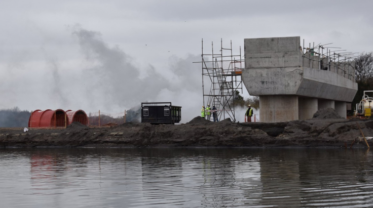 CODEFF | COMITÉ PRO-DEFENSA DE LA FLORA Y FAUNA